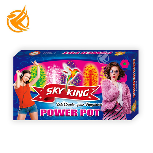 Explore the variety of firecrackers with kuruvicrackers.com
